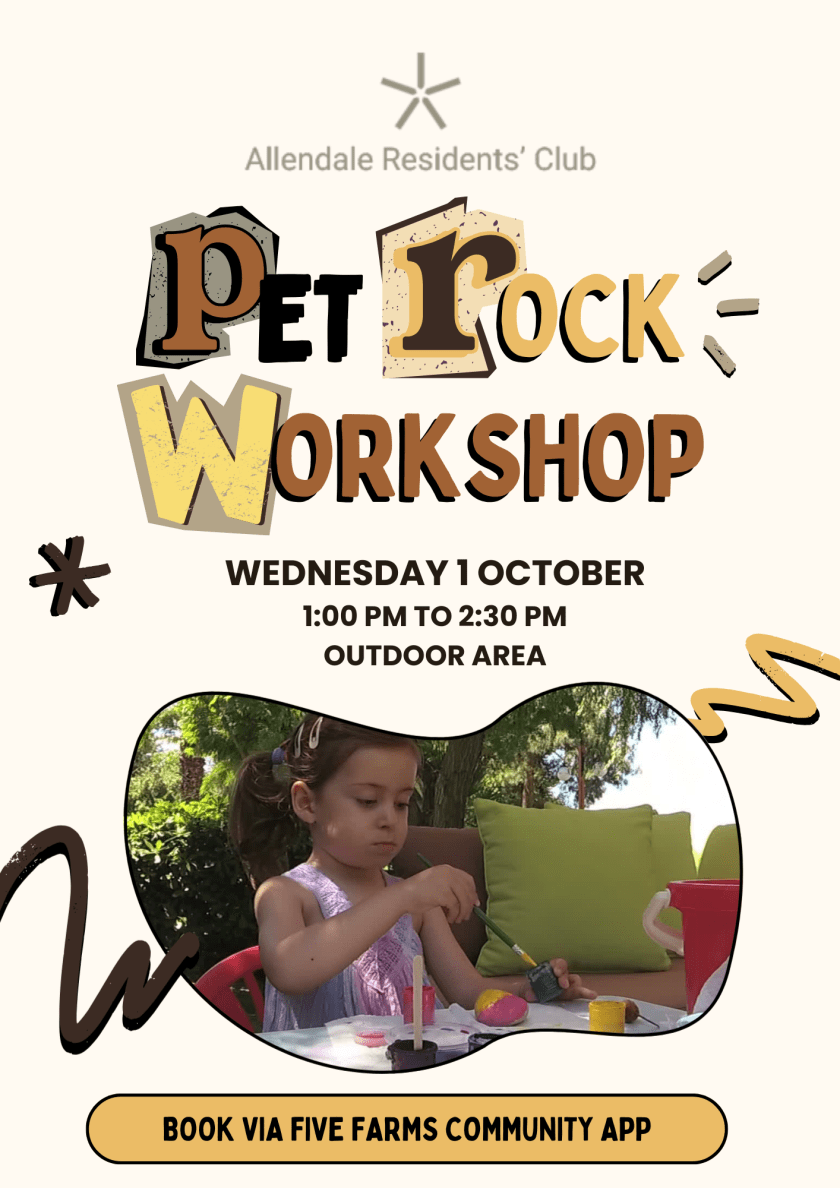 Pet Rock Workshop | Quantum Clubs